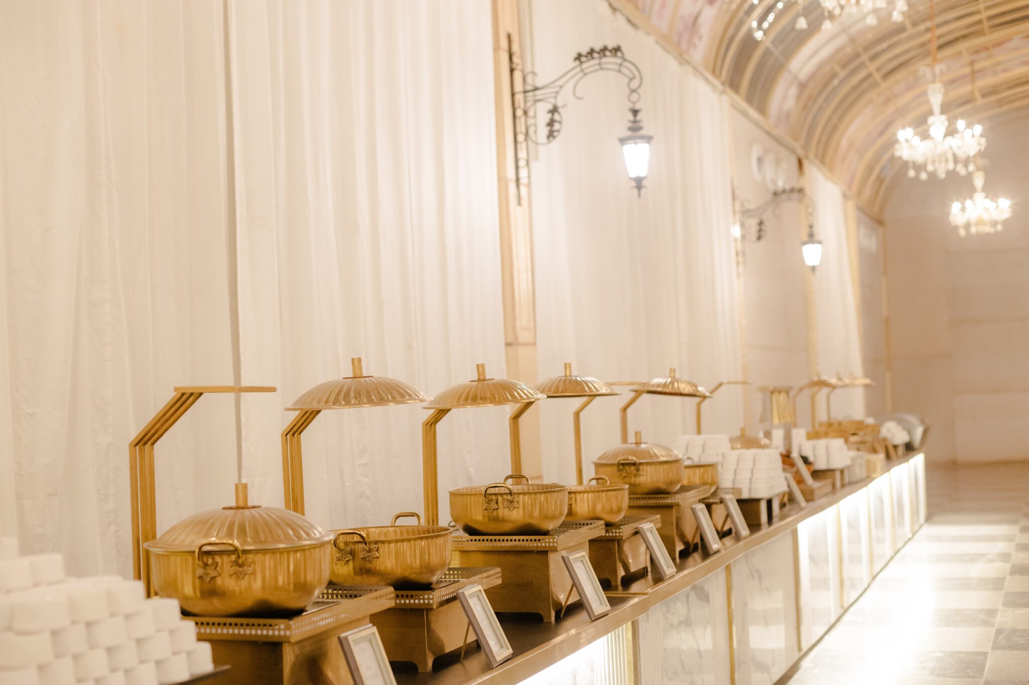 Indian Wedding Food Menu Lists And Ideas- Speciality Catering Services